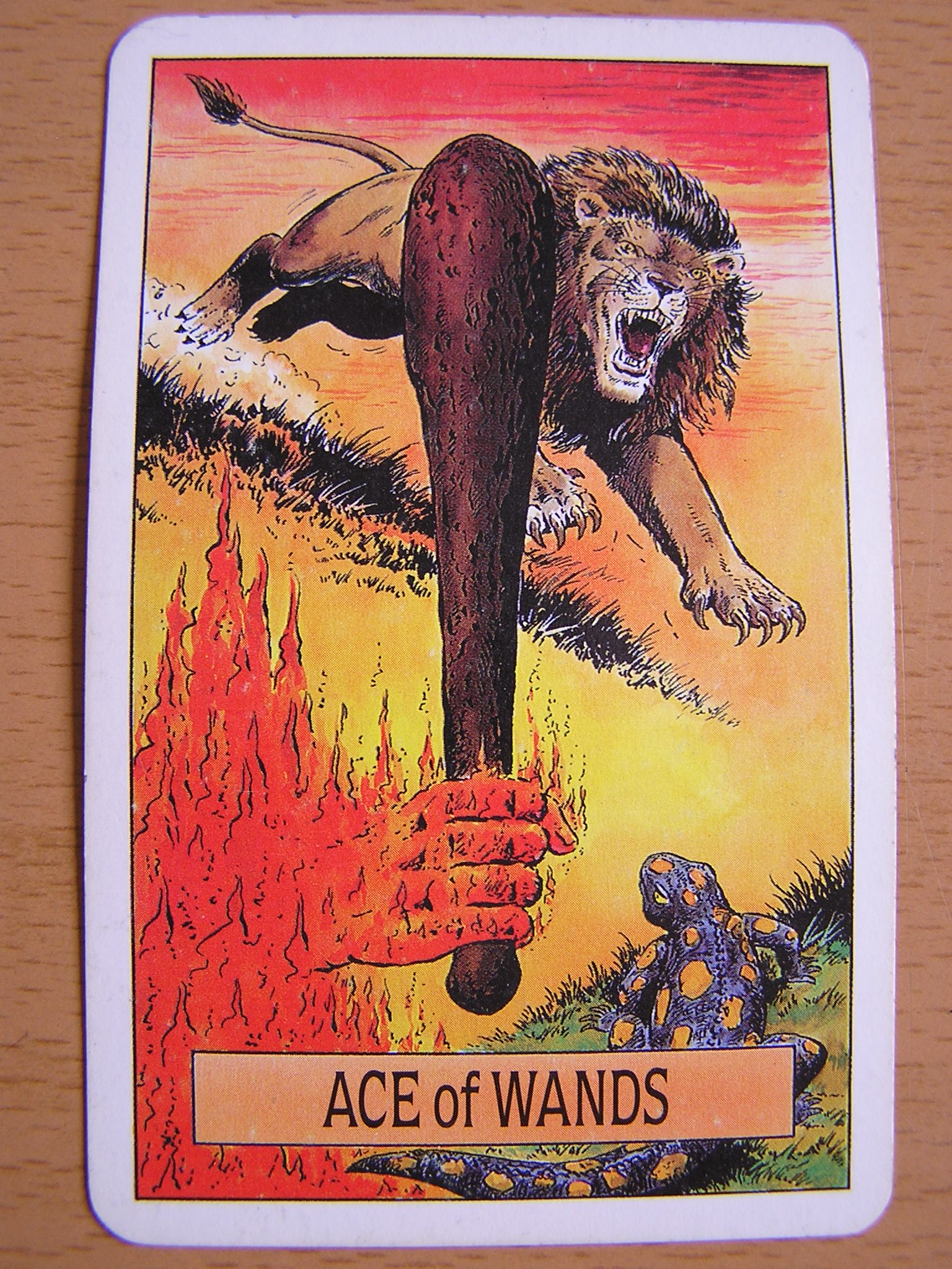 Arcus Arcanum Tarot | Ricardo Latouche Tarot